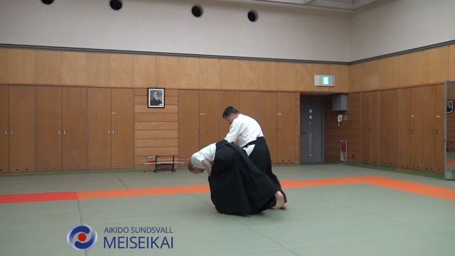 5 Aikido Shomen Uchi Ikkyo Omote Shishiya Sensei Tokyo 2017