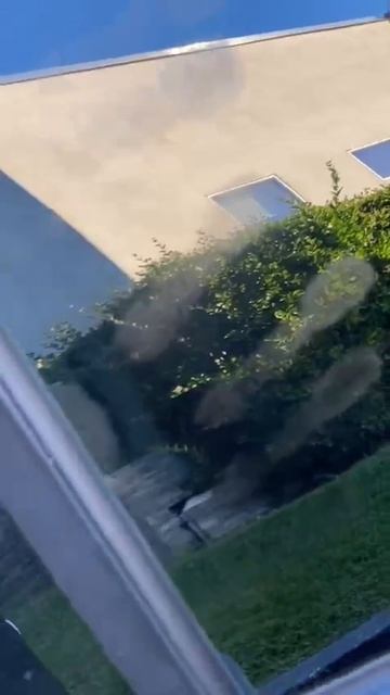 Когда забыл микрофибру 😁