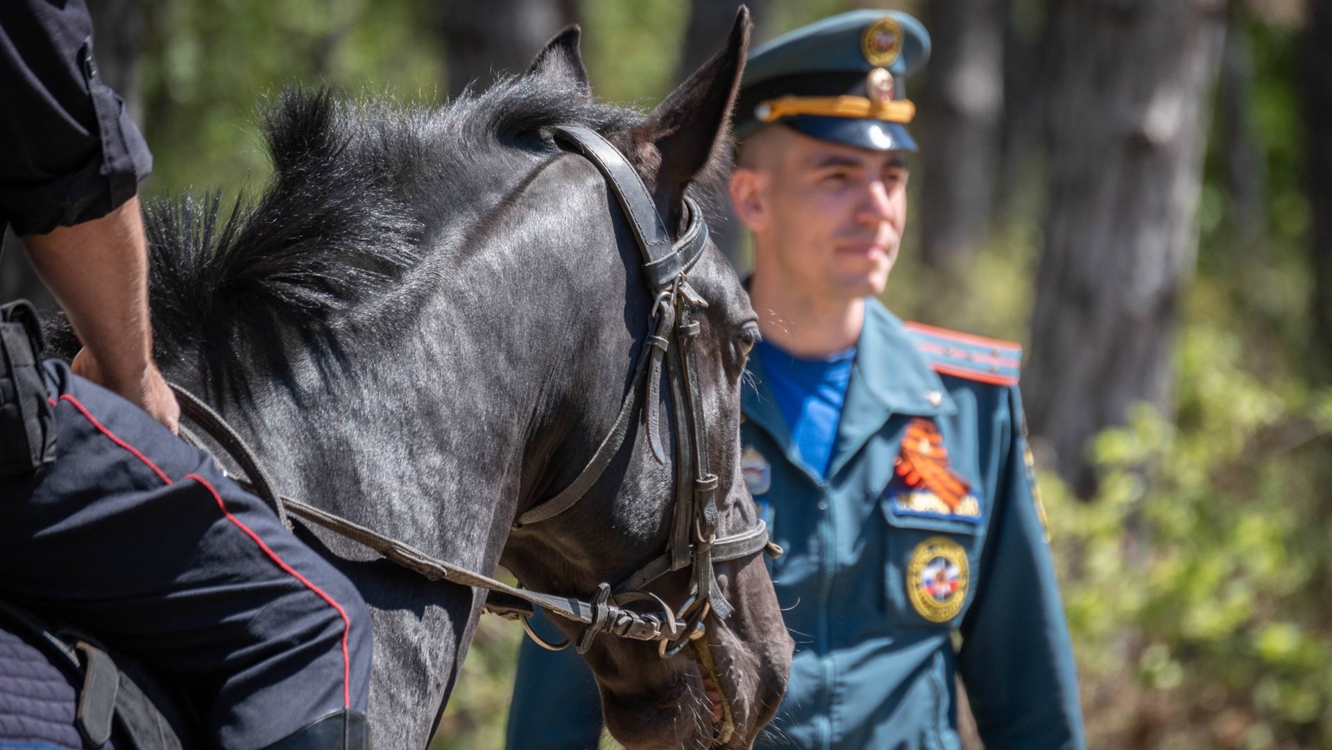 В майские выходные совместные рейды проводят МЧС России, Севприроднадзор и конная полиция