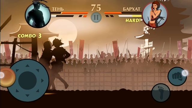 Бой с тенью-2.