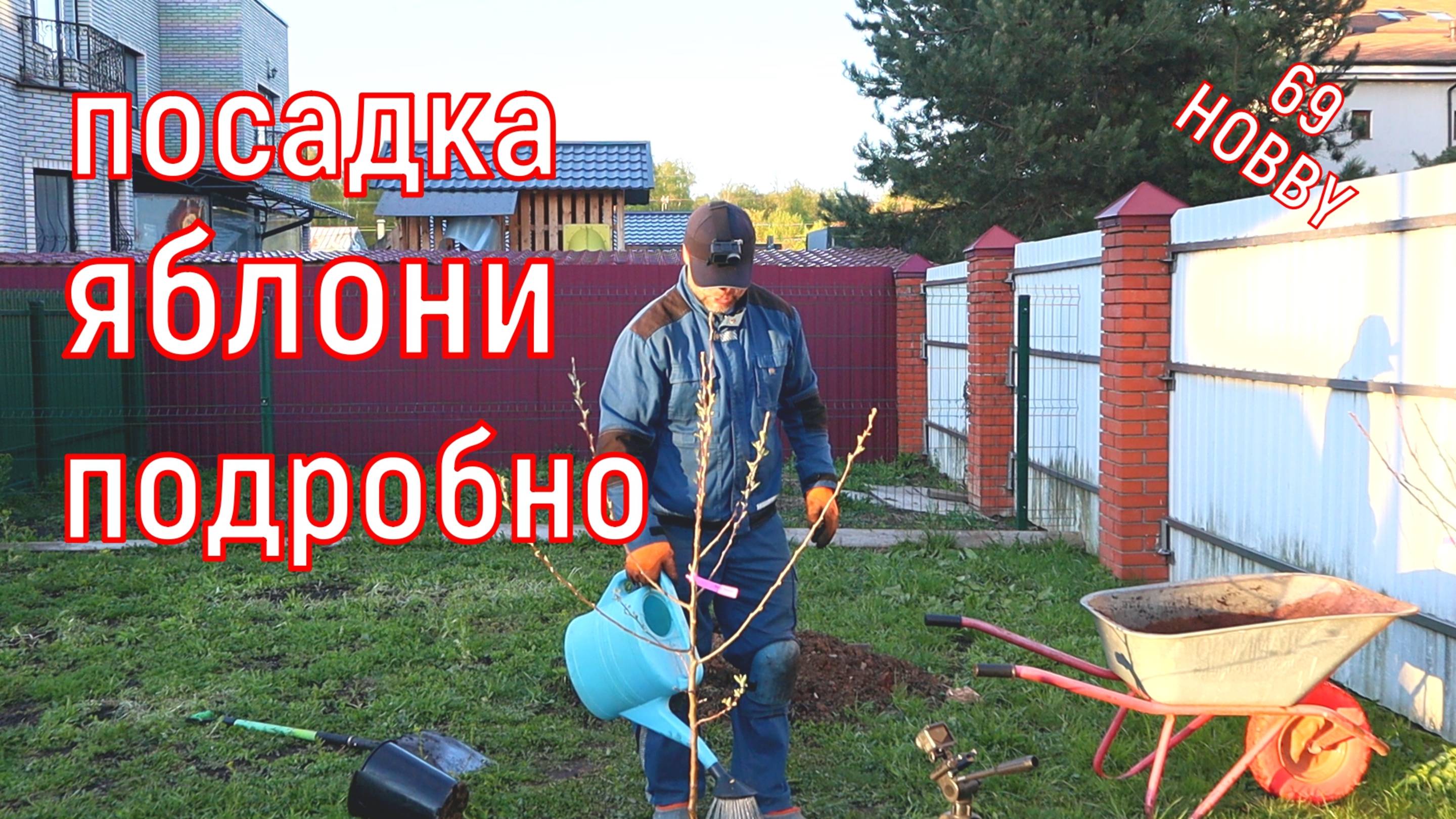 Посадка яблони весной! Подробно для новичков!