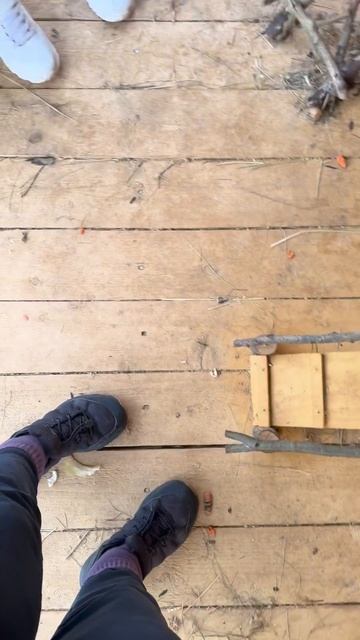 Енотик вкушает киви