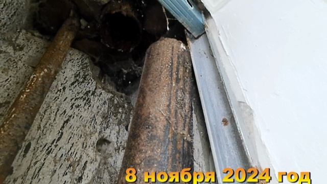 Ремонт в квартире. Выложили кирпичики в арке вход в большую комнату. 8 ноября 2024 год