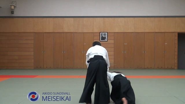 4 Aikido Katadorimenuchi Nikyo Shishiya Sensei Tokyo 2015