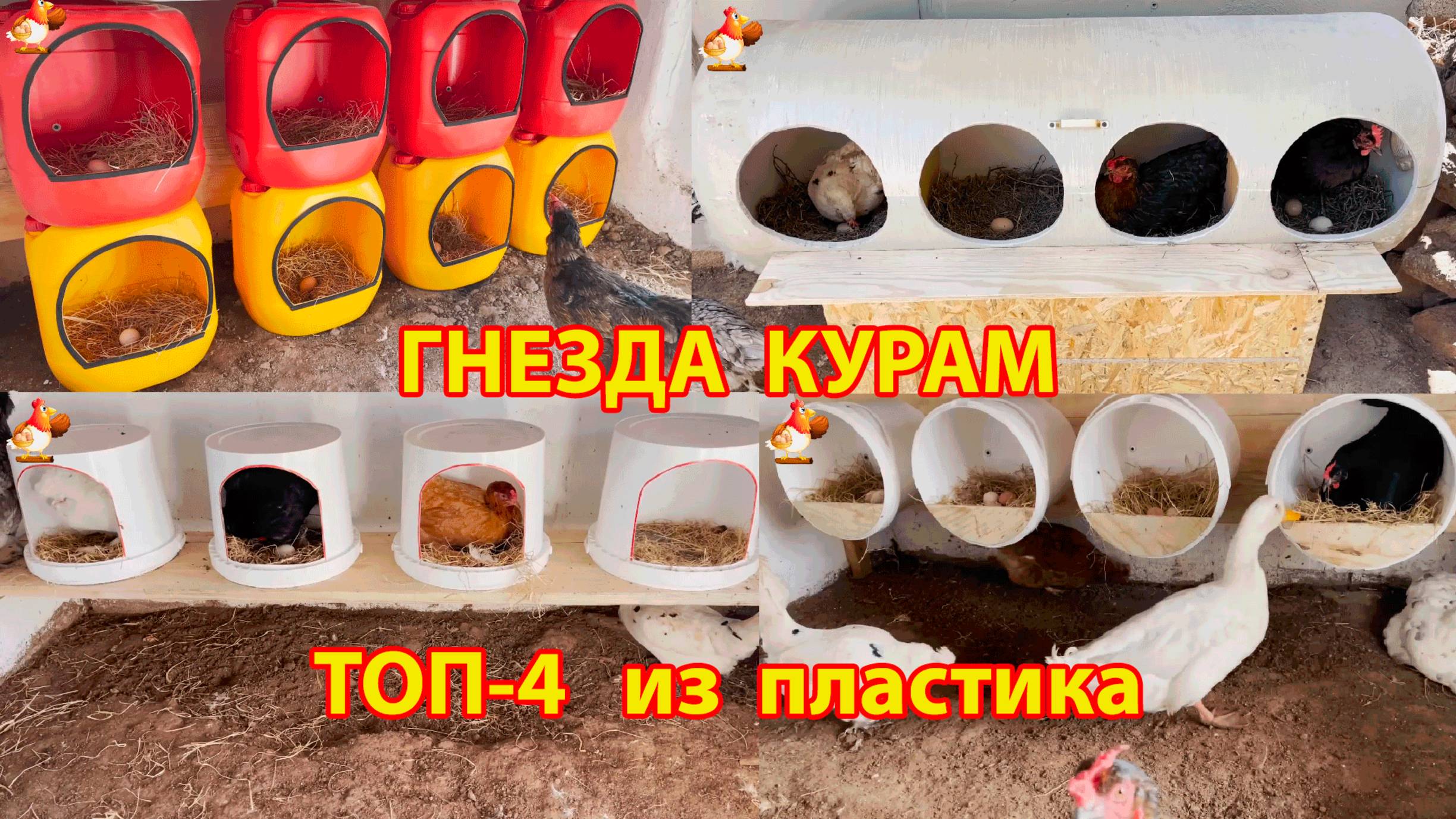 Гнезда курам ТОП-4 варианта из пластика понравились несушкам