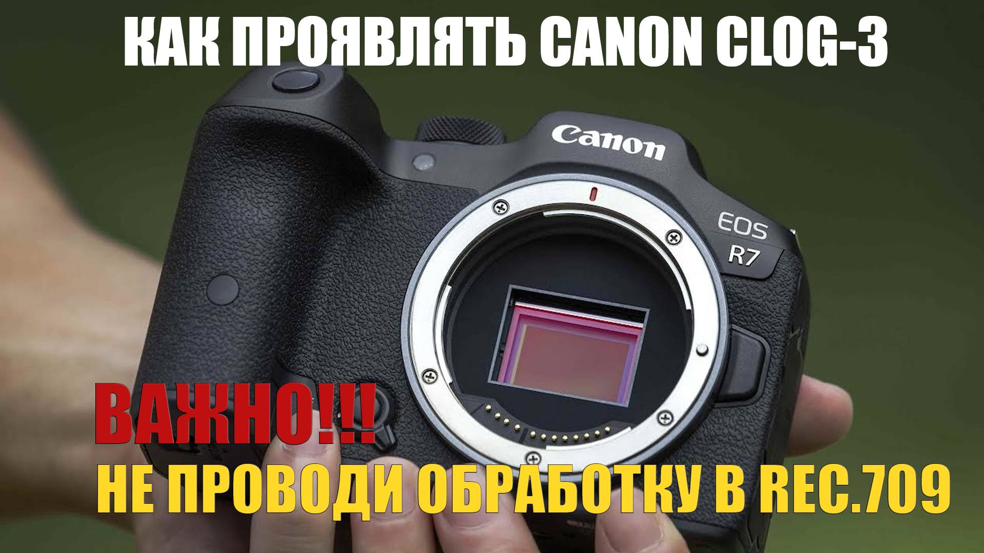 Проявка canon CLOG3 в Davinci Resolve (drAstronomus)