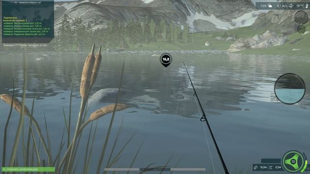 Отличная сегодня рыбалка на удочку)))