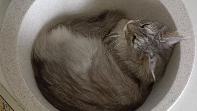 Отдых у воды