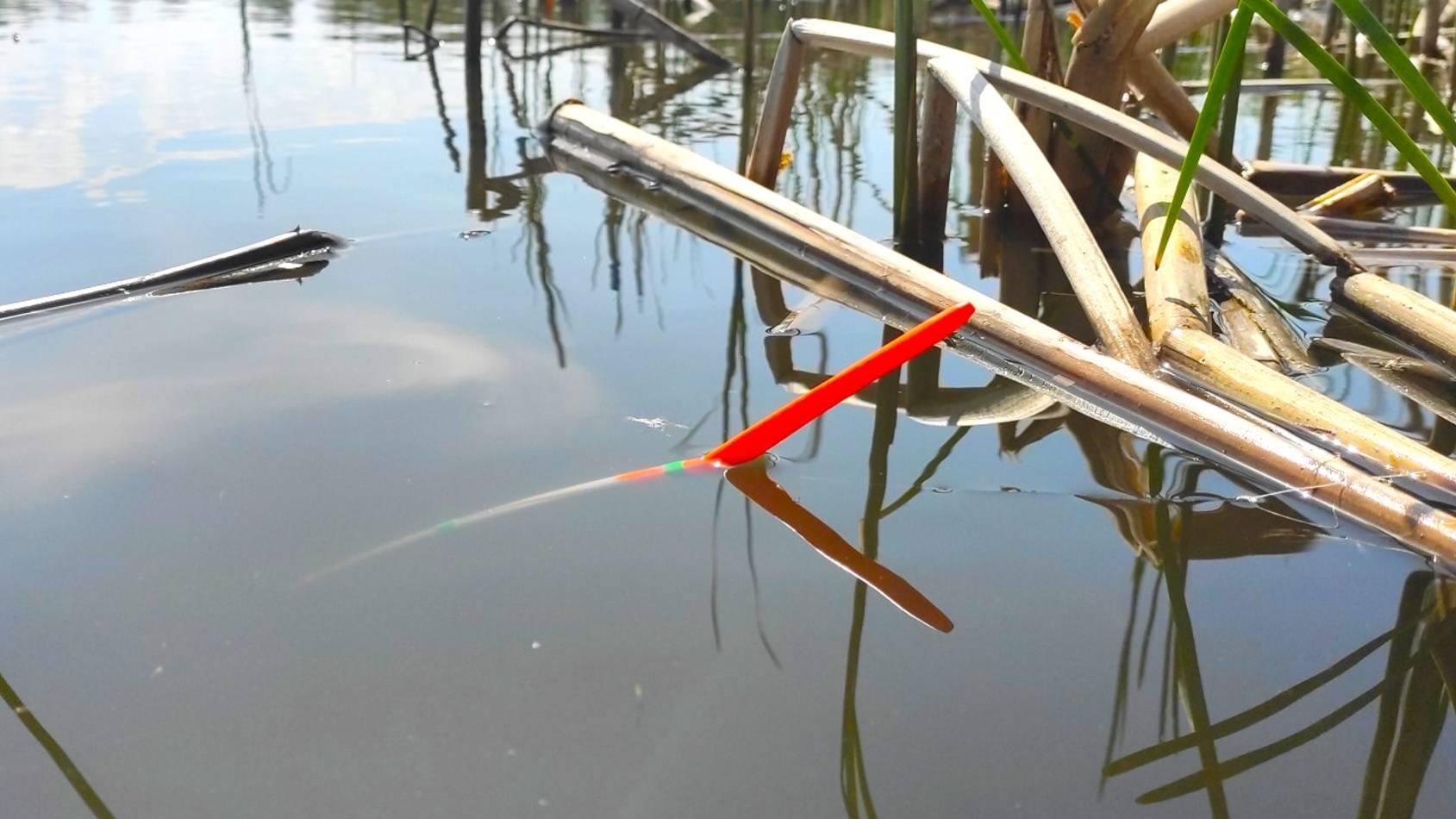 ОНО ВЫЛОЖИЛО... И В КУСТЫ!!! САЗАНЫ И КАРАСИ МОНСТРЫ - РЫБАЛКА НА ПОПЛАВОК