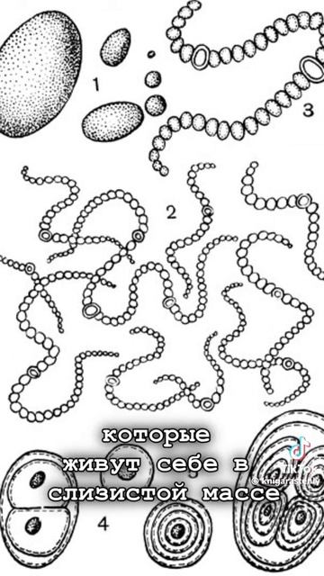 угадайте кто это