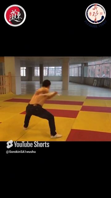 Шуайцзяо провинции Шаньдун #шуайцзяо #ушу #боевыеискусства #китайскиебоевыеискусства #спорт #москва
