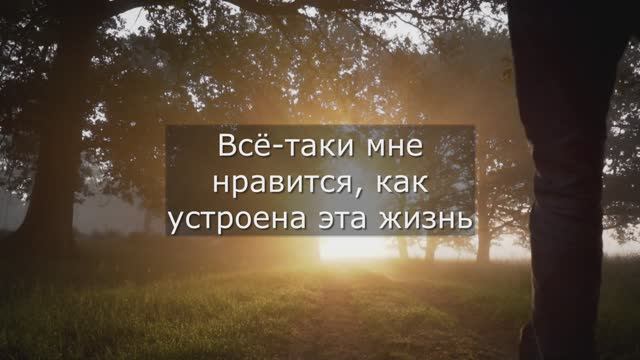 Всё-таки мне нравится, как устроена эта жизнь