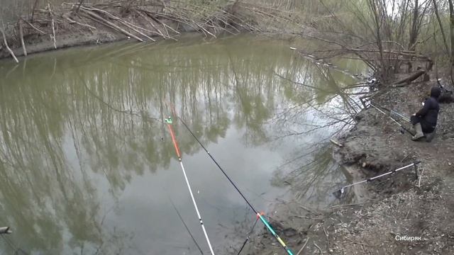 Весенняя рыбалка фидерами и поплавочными удочками в НСК на реке Тулка