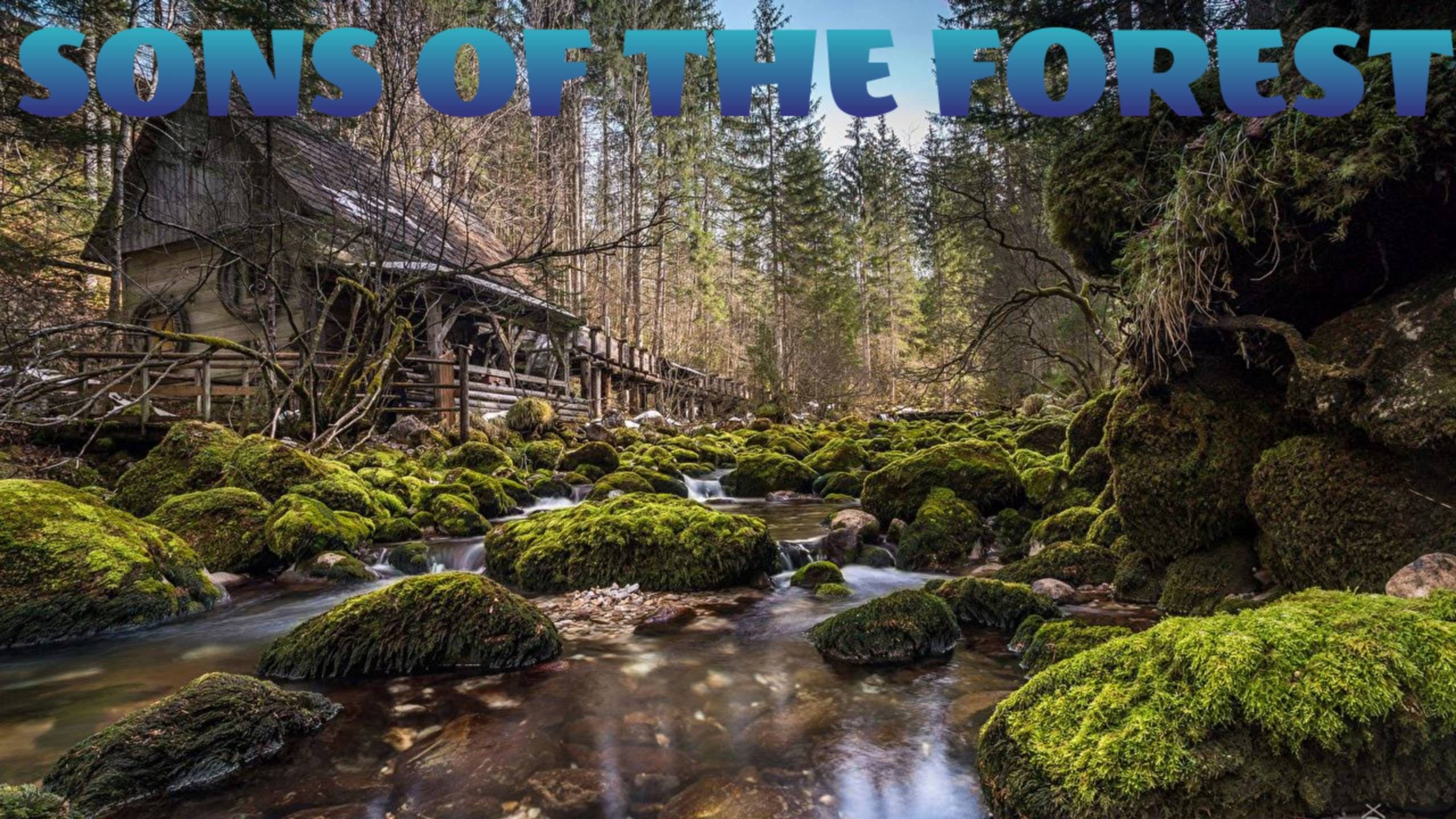 Sons Of The Forest-Прохождение Часть-2