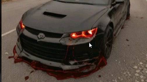 Водятлы снятые на камеру...