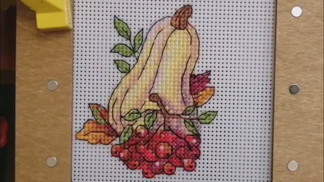 Тыквенное ассорти 2 (Жар-птица, Р-854) : Волшебство бэка