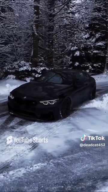 Выпуск 6 [17.04.2025 г.] #shorts [Tik Tok]