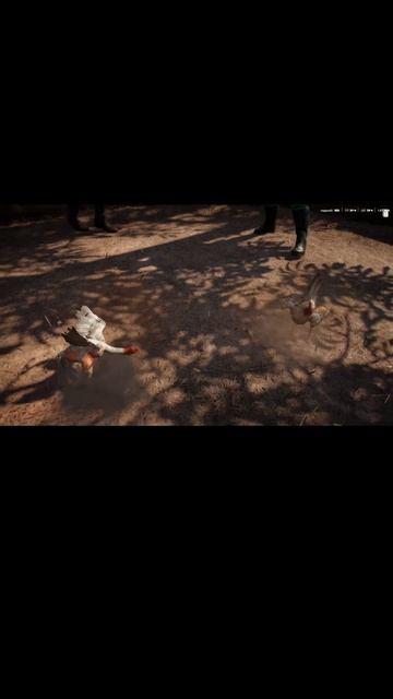 Петушиные бои Far cry 6 #farcry6 #fc6 #фаркрай6 #фк #фаркрай #gilzatv #гильзатв