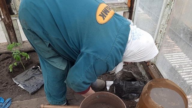 ПОСАДКА ОГУРЦОВ( 1часть)