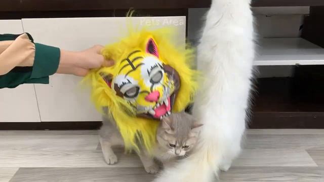 Улетные приколы с животными смех до слез  ЧАСТЬ 4