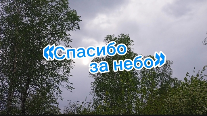 «Спасибо за небо» #80летВеликойПобеде