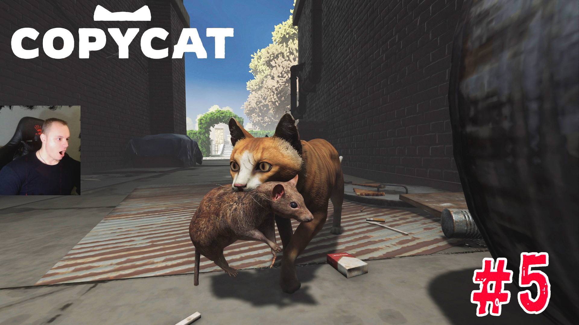 Copycat #5 ➤ Прохождение игры Копикэт ➤ Играем за Кошку