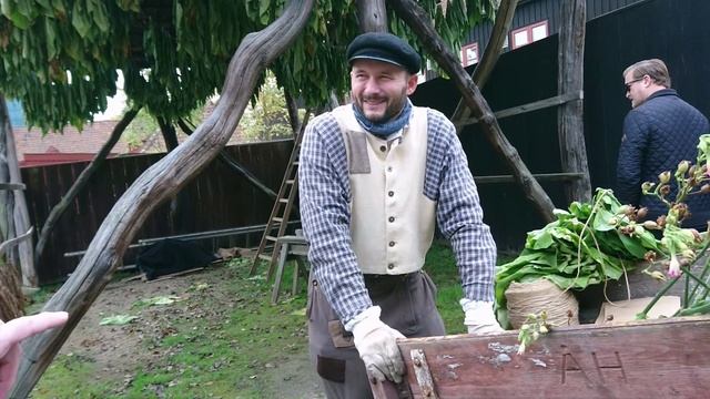 Табачное производство в старые времена в Дании, Музей Старый Город, Орхус, Дания. 19 октября 2018