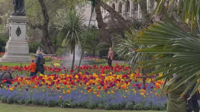 ОЧАРОВАННАЯ ВЕСНА В ЛОНДОНЕ  - ПРОГУЛКА С ГЛИЦИНИЯМИ, РИЧМОНД, ФЕСТИВАЛЬ ТЮЛЬПАНОВ