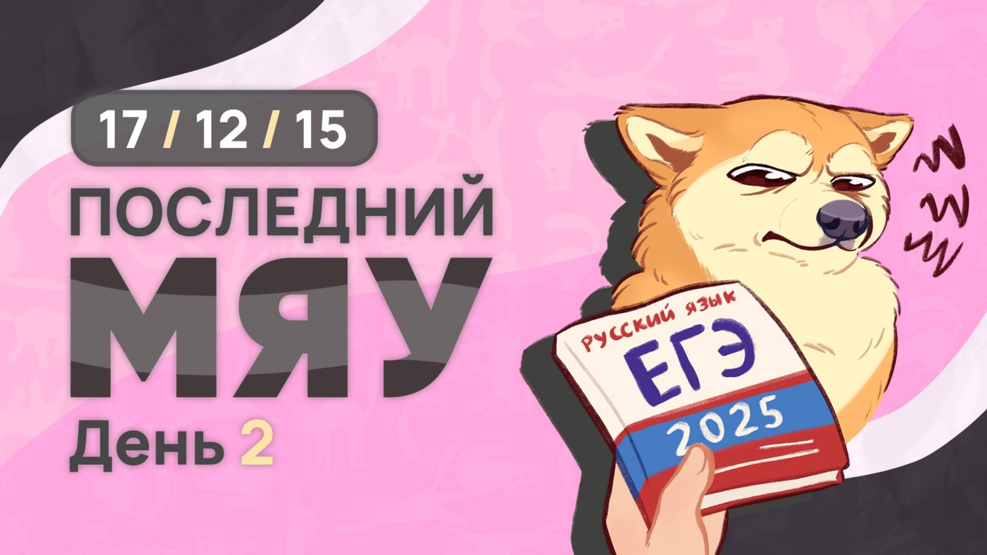 Последний мяу: финальный курс. ЕГЭ 2025: русский язык. День 2. Задания 17, 12, 15. [ЗАПИСЬ БУДЕТ]