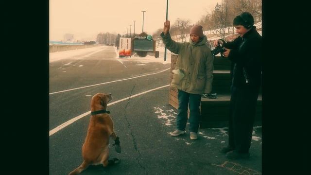 Новая весна 2025: документальный фильм ИППС