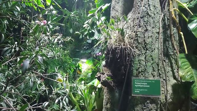 Мы продолжаем экспресс-экскурсию по Дальневосточному океанариуму