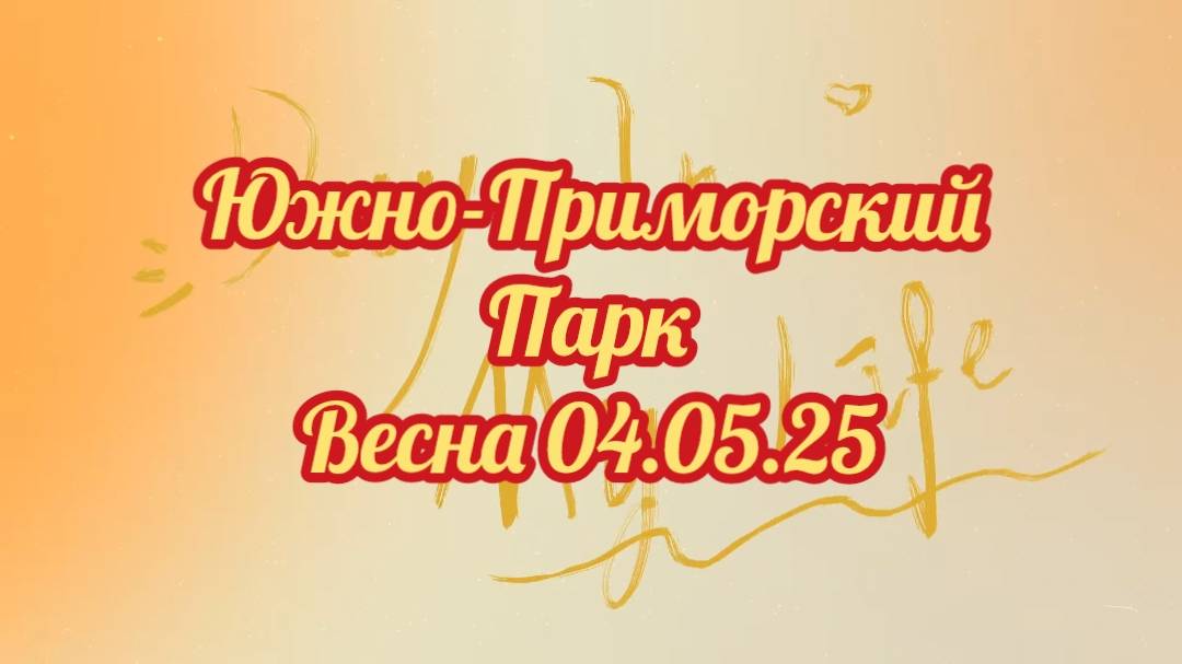 Южно-Приморский парк. 04.05.25