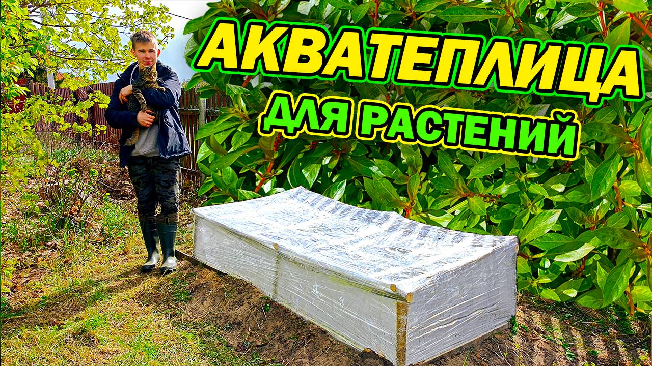 Запуск акватеплицы с аквариумными растениями