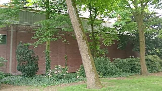 Тропарь греческий святой Пелагии мученице, 4 мая