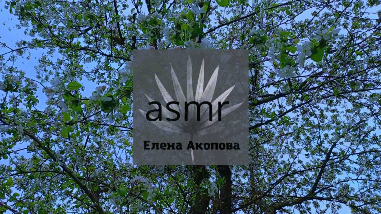 За окном весна и дождь. Расслабляющие звуки дождя