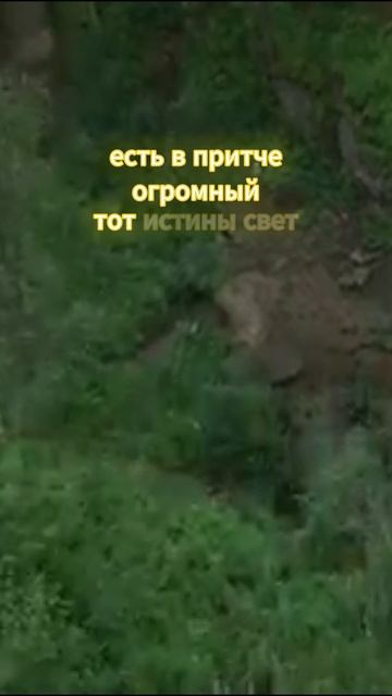 Выбор за тобой🤓
