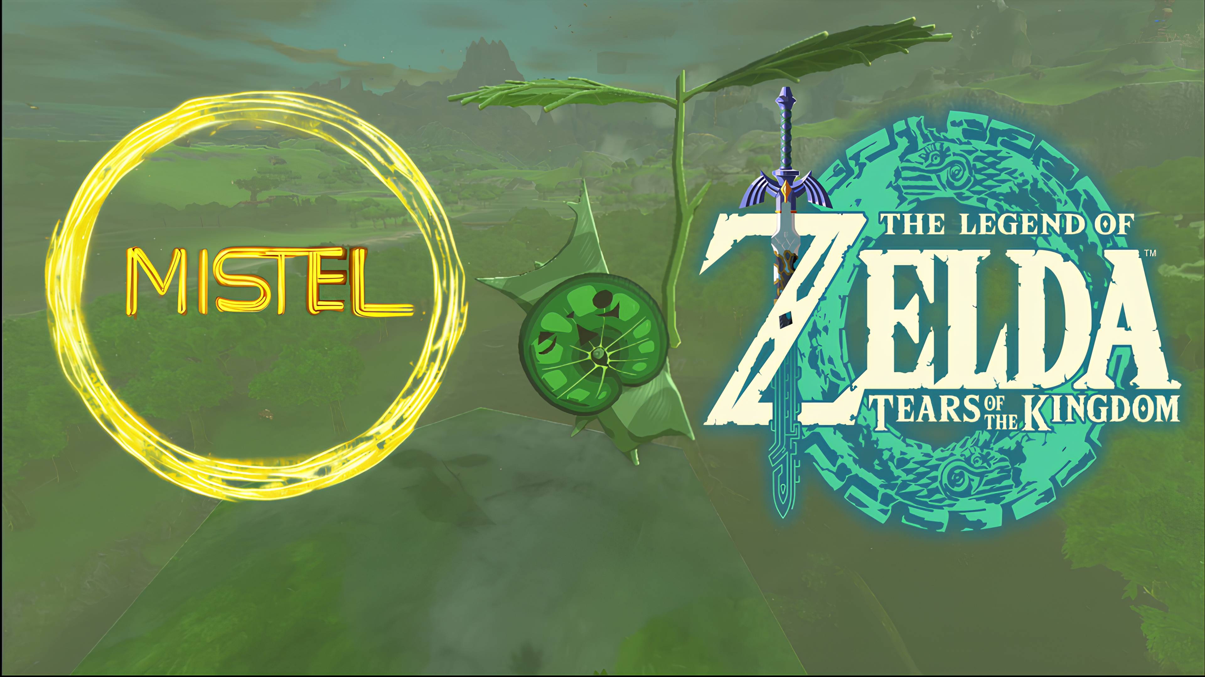 The Legend of Zelda: Tears of the Kingdom. Филлер #13