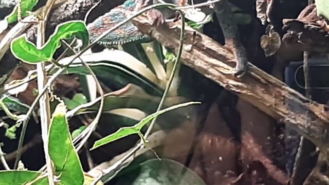 Мы в Москве. Москвариум. Танцевальная олимпиада.