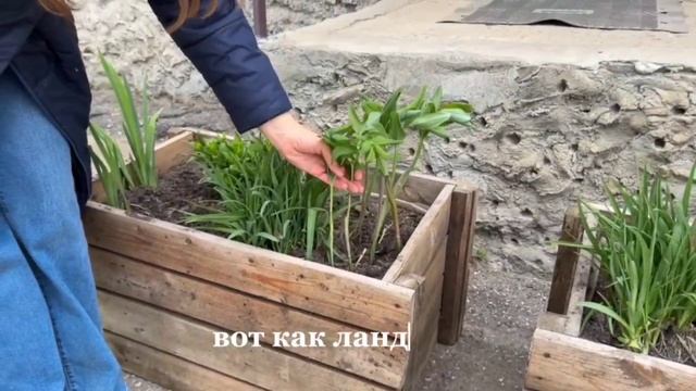 День рождения в усадьбе | Подарки, розы и немного реставрации