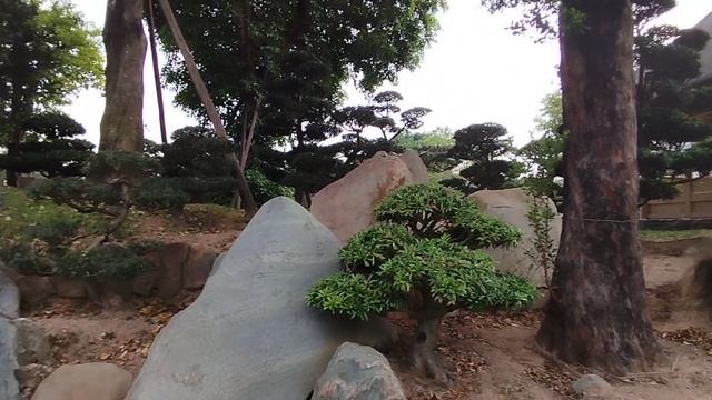 23 - 24 апреля 2025. Гонконг