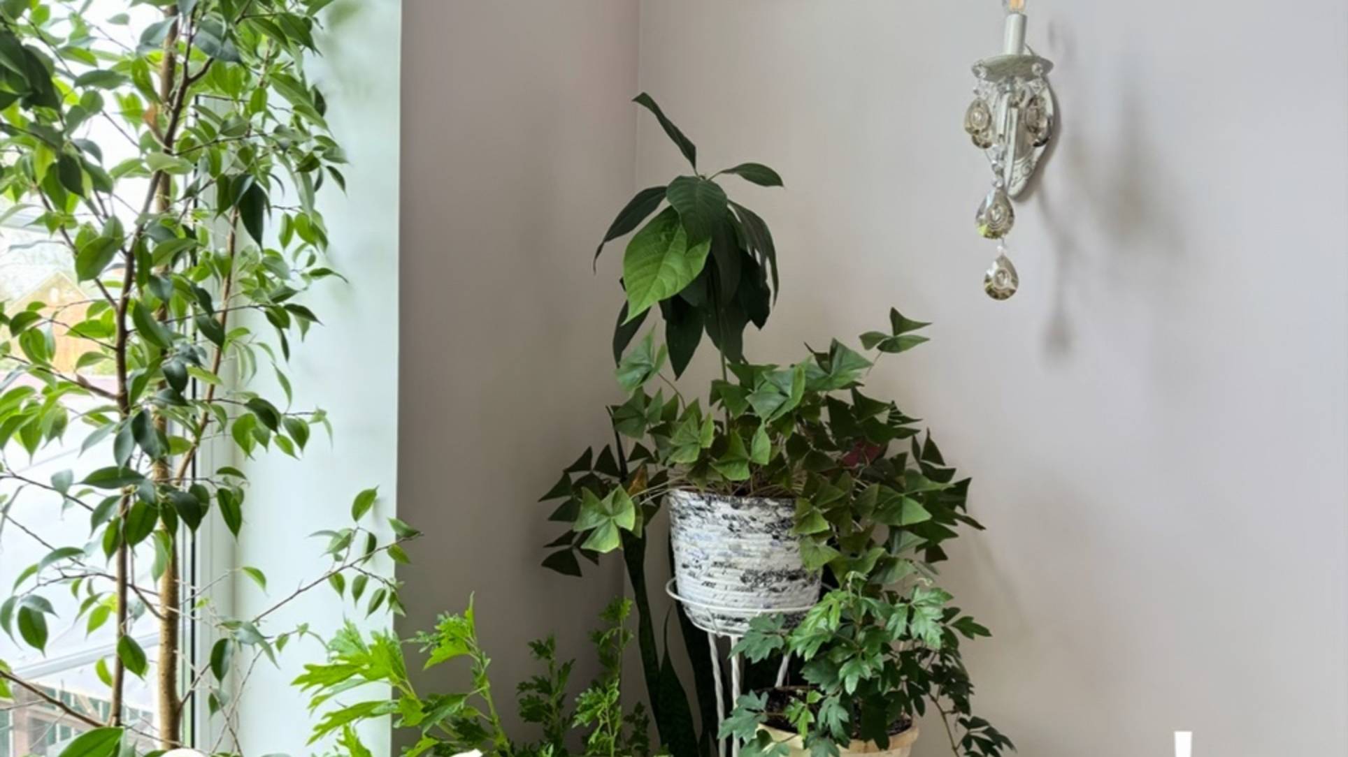 Текстильное кашпо. Шитье из полос. Из бельевой верёвки шьём кашпо.