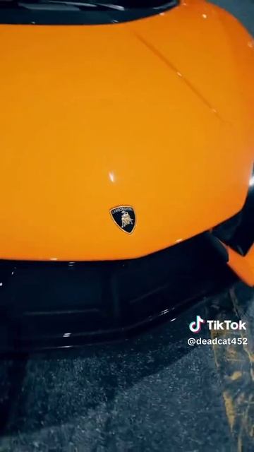  Выпуск 10 [17.04.2025 г.] #shorts [Tik Tok]