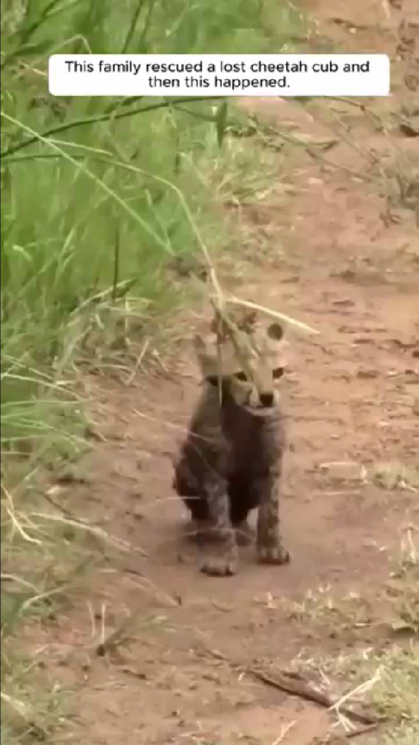 Мир не безнадежен ! 8