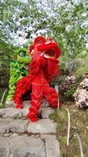 красный лев нюхает цветочки