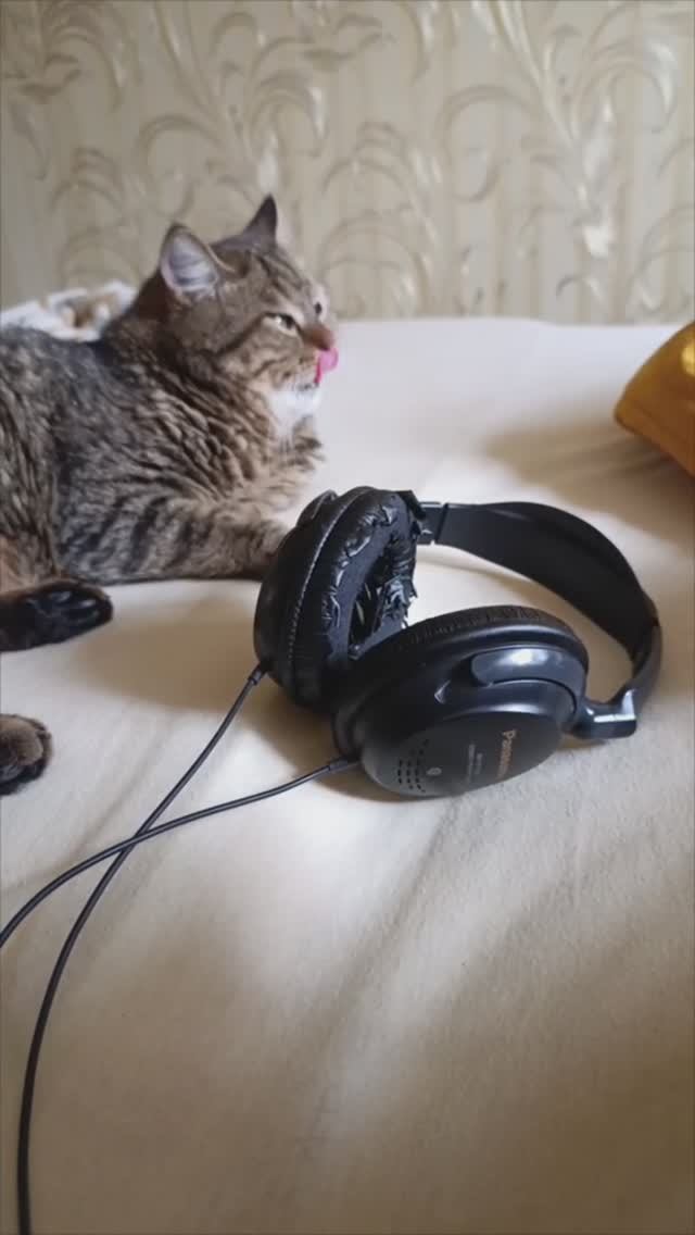 Я с ним не чикаюсь