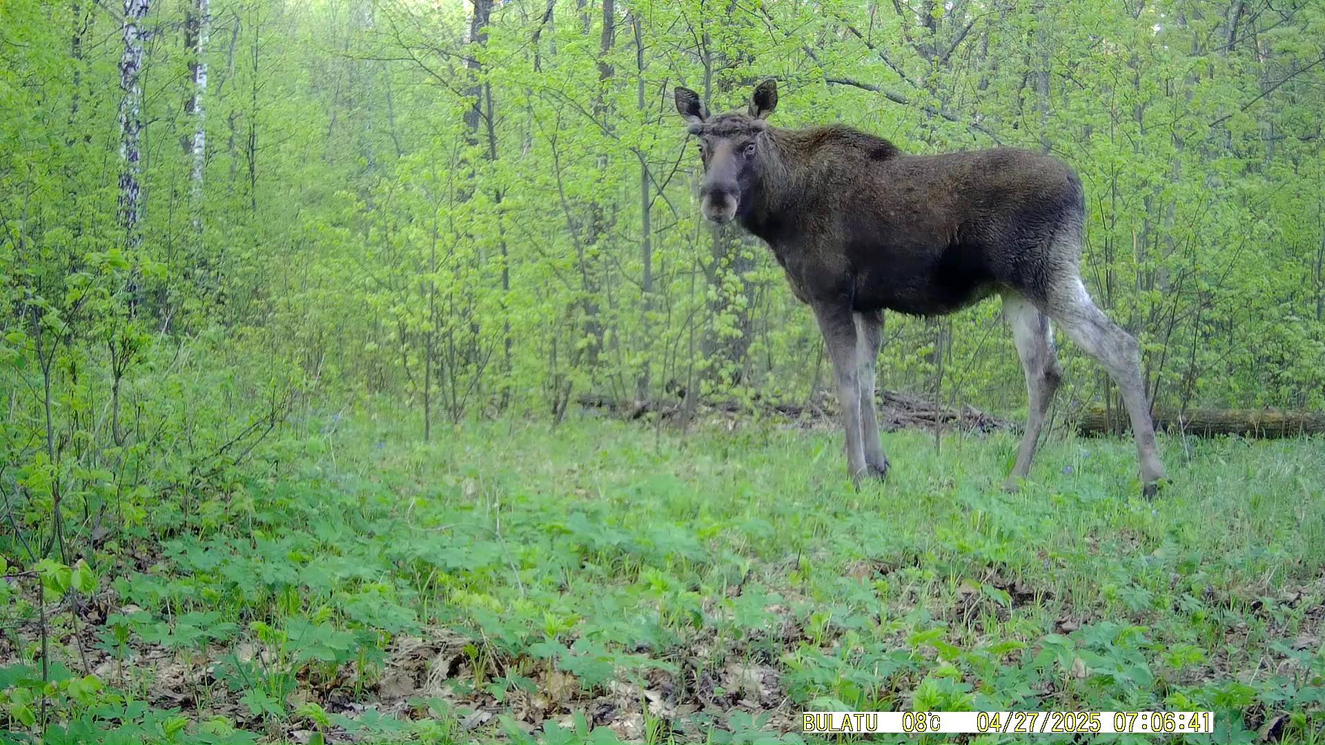Марафон жизни. (Весенний марафон)