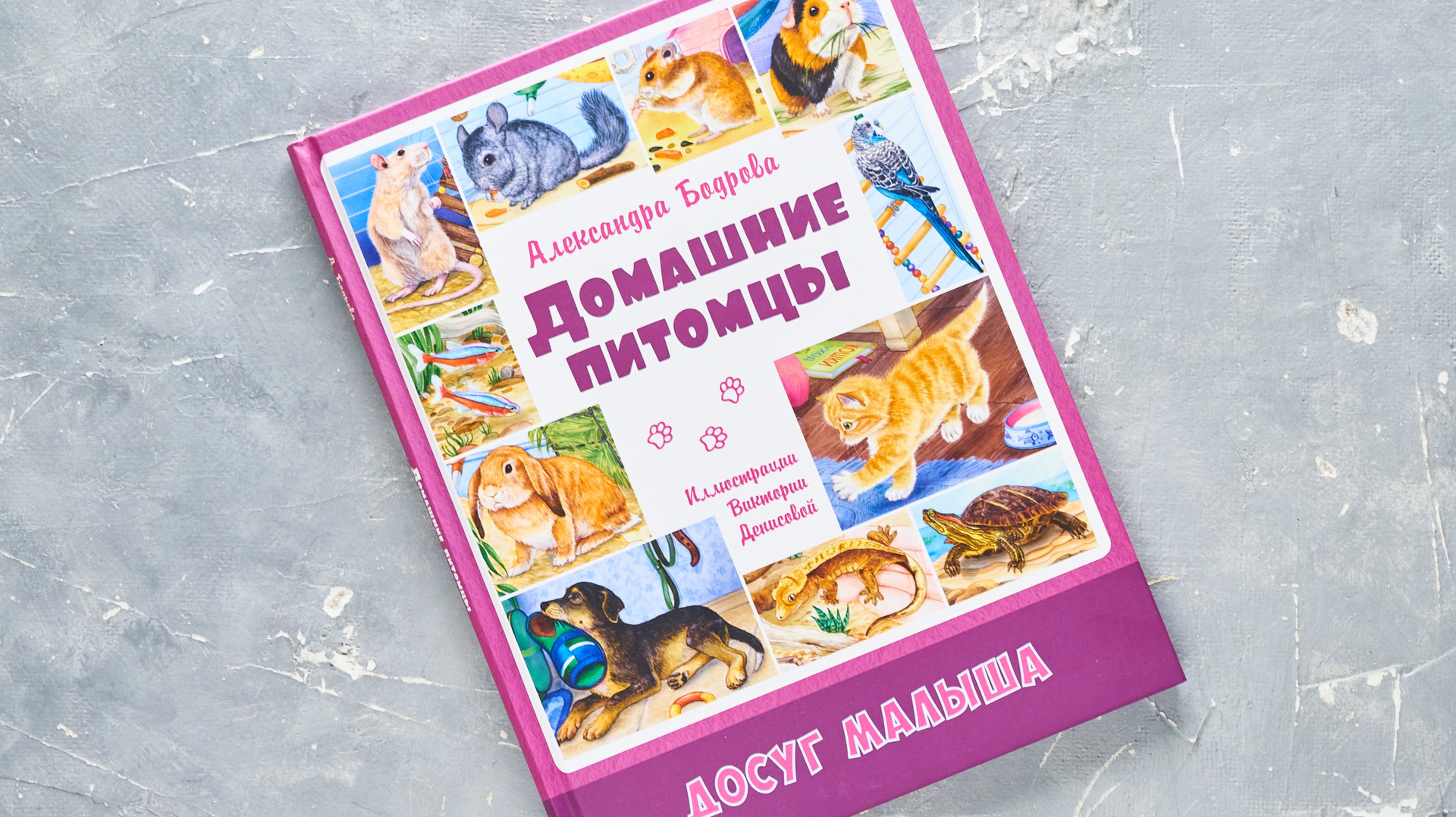 "Домашние питомцы"