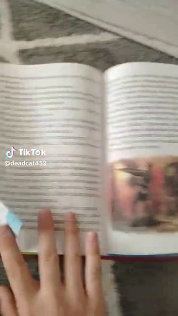 Выпуск 5 [17.04.2025 г.] #shorts [Tik Tok]