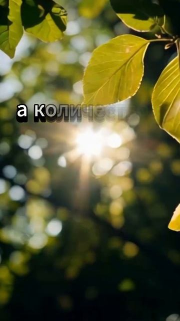 Счастье в мелочах