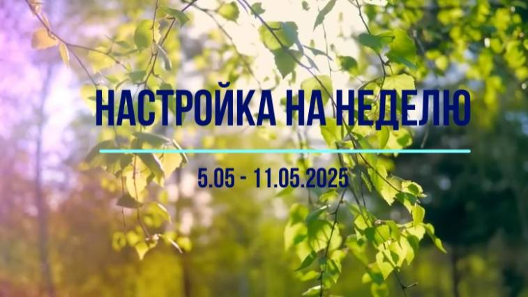 Настройка на неделю 5.05 - 11.05.2025. #медитация #осознанность #психология